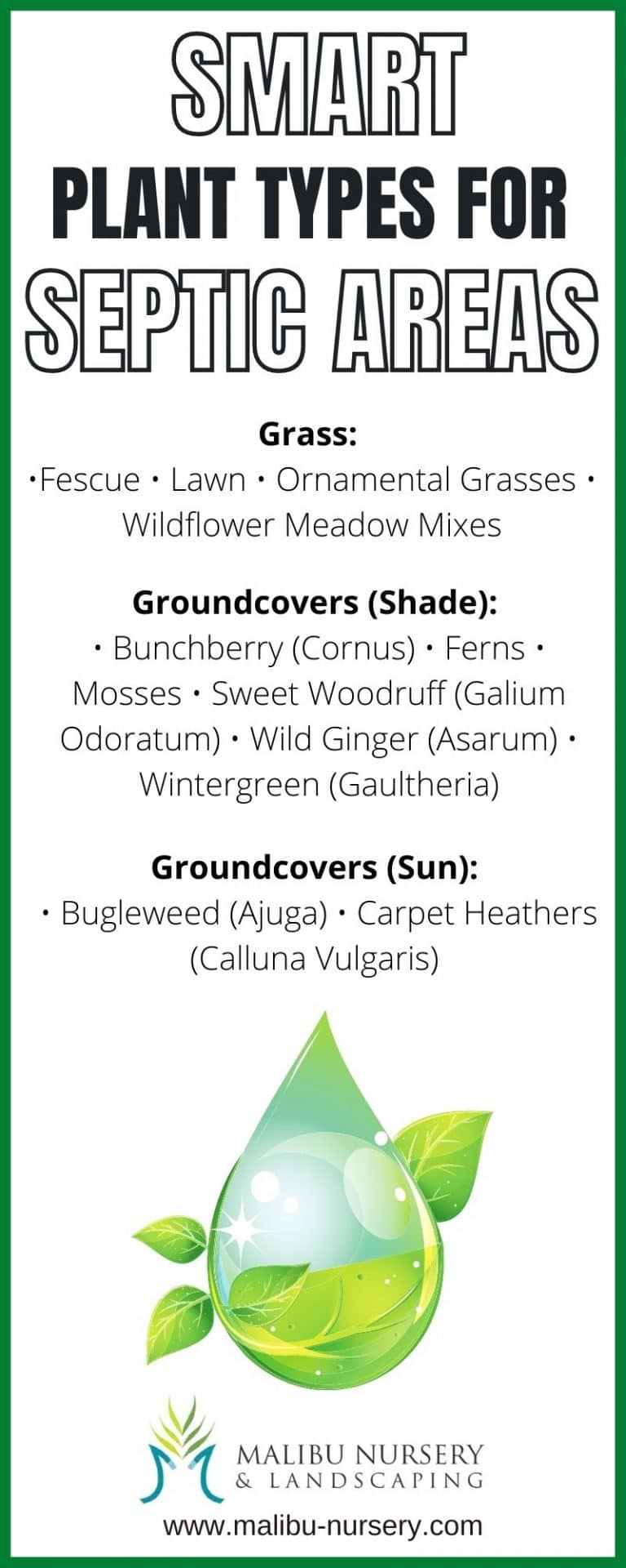 Landscaping Ideas Around Septic Tank Areas: 7 General Guidelines to ...